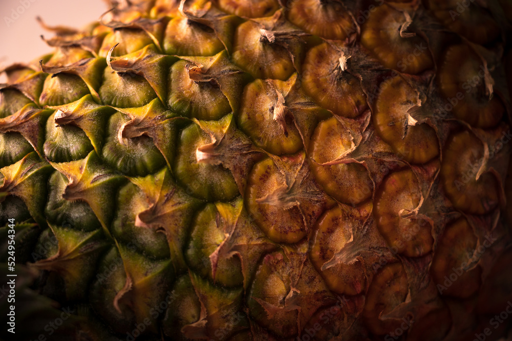 Pineapple, a sweet multiple fruit. Ananas comosus. This sample grows in ...