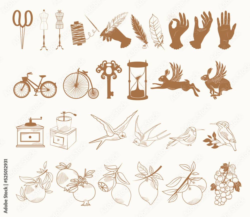 Collection of vintage elements linear symbols, icons design. Bicycle ...