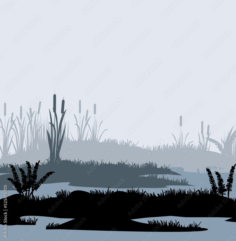 Fog in swamp. Thickets of reeds. Swamp landscape. View of the river ...