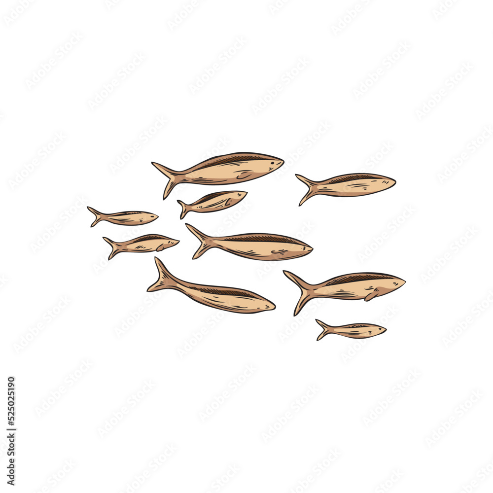 Shoal or school of fish swimming together, hand drawn sketch vector ...