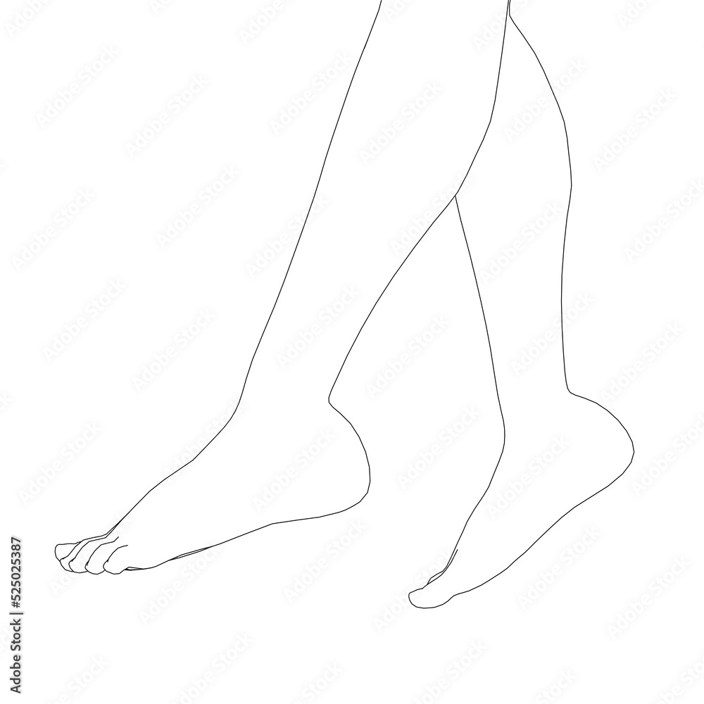 Outline of female legs from black lines isolated on white background ...