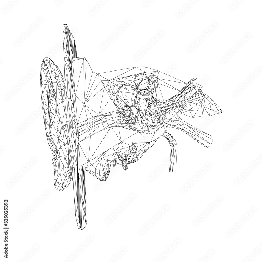 Wireframe of the human ear with the internal structure of the hearing ...