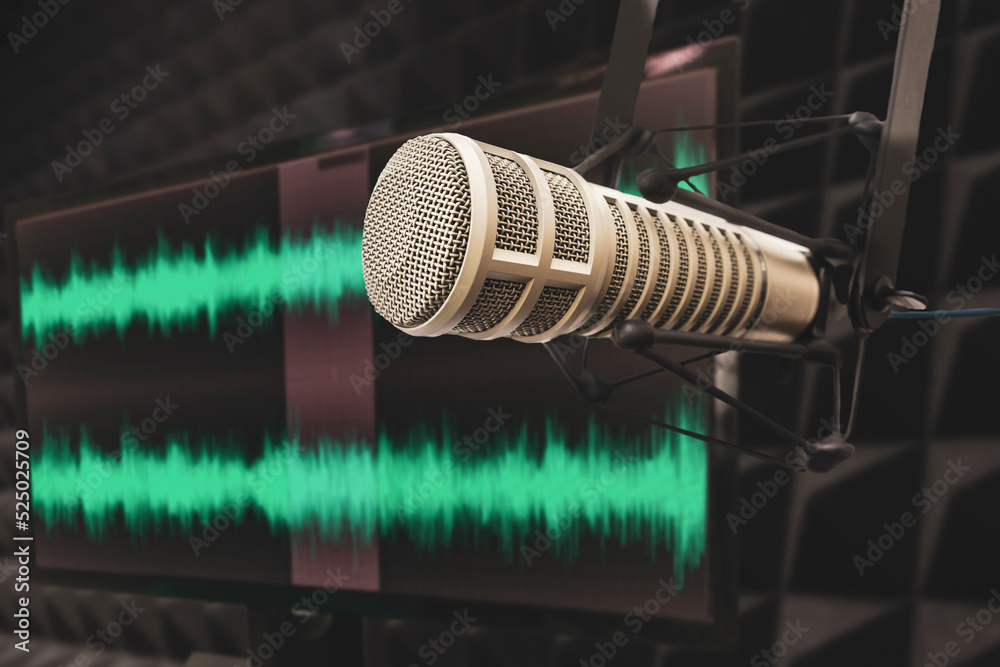 professional microphone and sound wave form on computer screen Stock ...