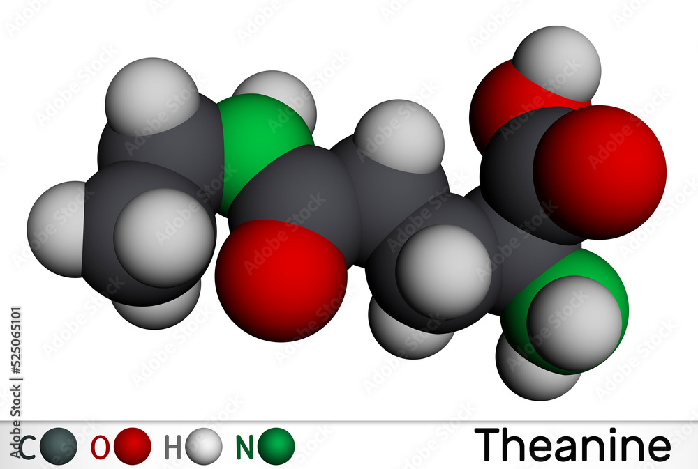 Theanine, theanin molecule. It is neuroprotective agent, plant ...