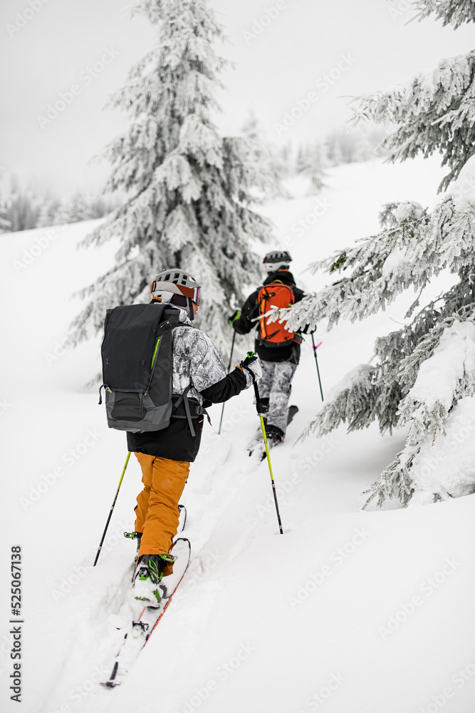 back view of two guys skiers with backpacks walking on ski. Ski touring ...