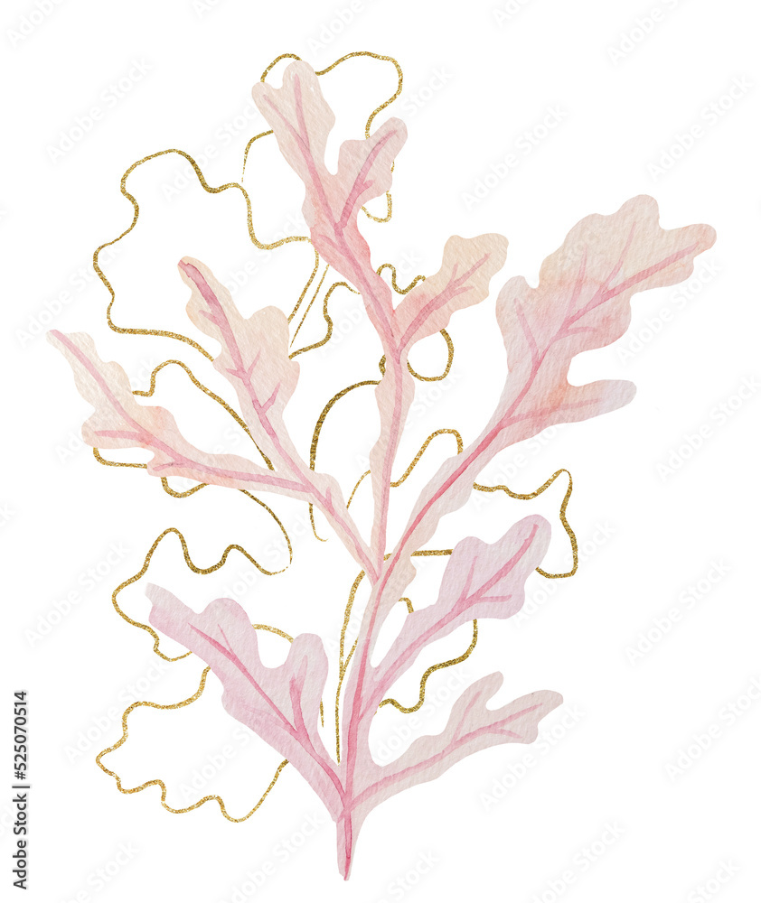 Light pink Watercolor and golden seaweeds Illustration, isolated ...