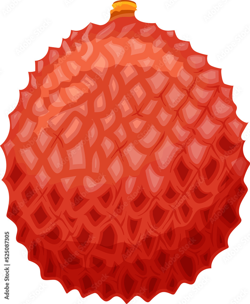 Lychee isolated whole tropical fruit flat cartoon Stock Illustration ...