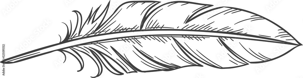 Writing feather pen isolated monochrome sketch. Vector quill, old ...
