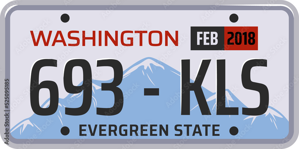 Vehicle registration number plate of American states and city. Vector ...