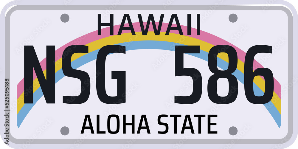 Vehicle registration number plate of American states and city. Vector ...