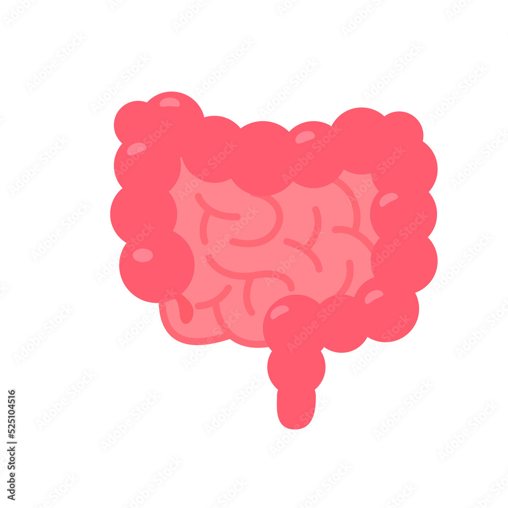 Intestine icon. Intestines help in the excretion of body waste into ...