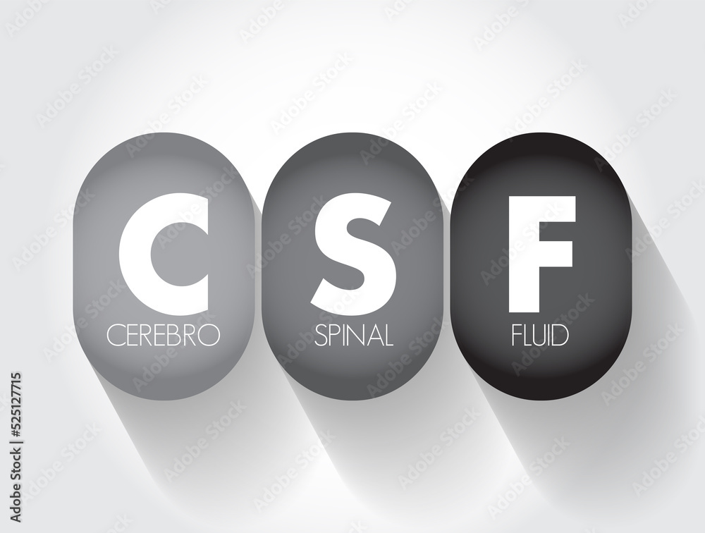 CSF Cerebrospinal Fluid - clear fluid that surrounds the brain and spinal cord, acronym text ...