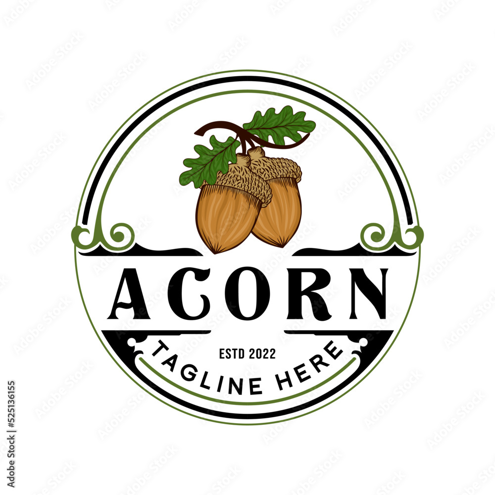 vintage acorn logo design. acorn vector illustration concept in emblem ...