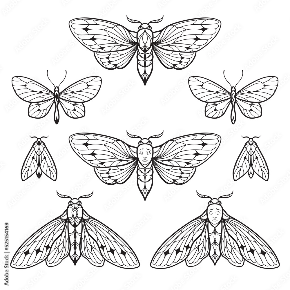 Moths and butterflies hand drawn line art gothic tattoo design set ...