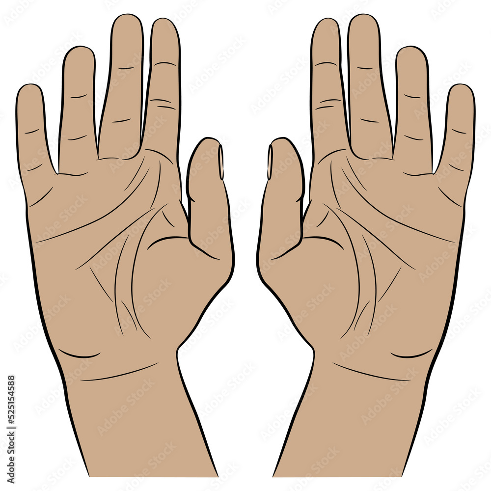 Two raised up human hands with open palms. Capitulation surrender ...