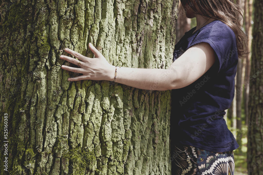 Female tree hugger person in the forest hugging big oak tree. Stock ...