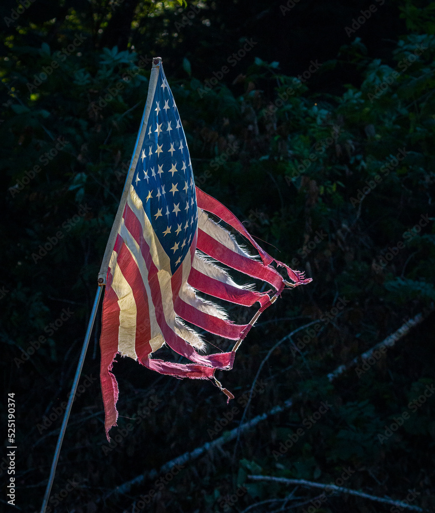 Tattered American flag is hanging from a metal flag pole. The white of ...