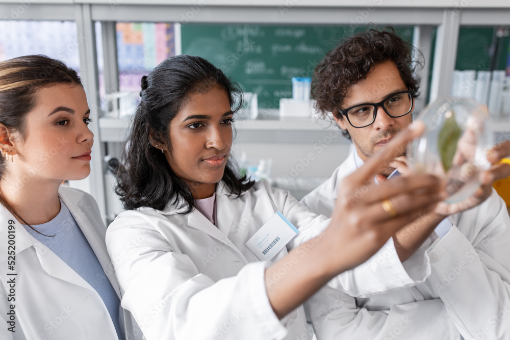 science research, gene technology and people concept - international ...