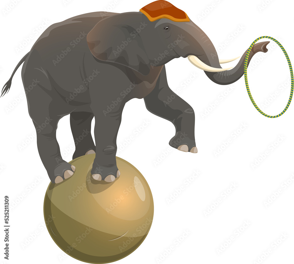 Vintage Circus Elephant On Ball