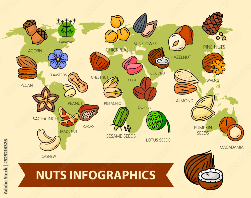 World map with nuts and seeds. Infographics of vector cashew, peanut ...
