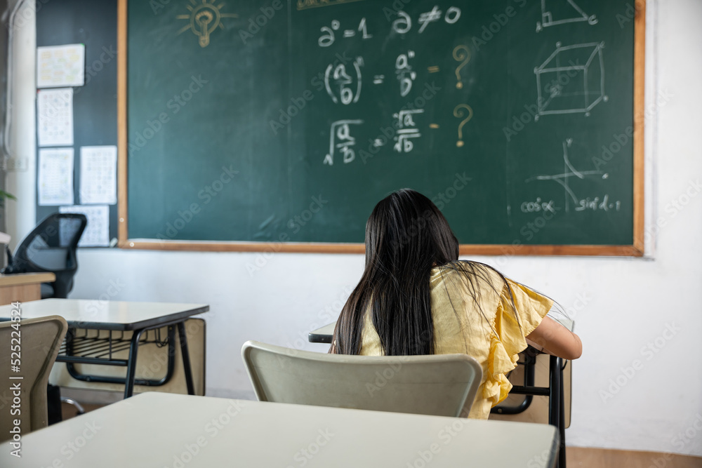 Education. Back view of school girl on lesson in classroom write ...