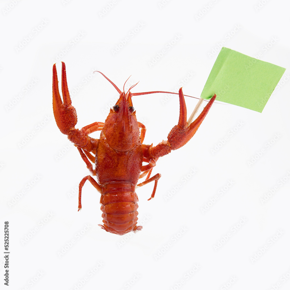 Boiled red crayfish lobsters with a flag and a banner in their claws ...