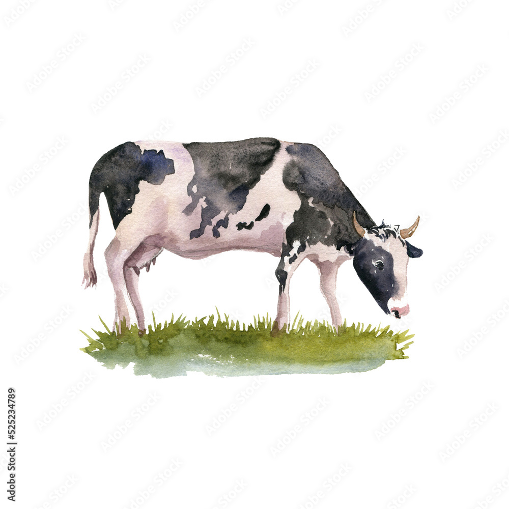 watercolor drawing sketch of cow at green grass isolated at white ...