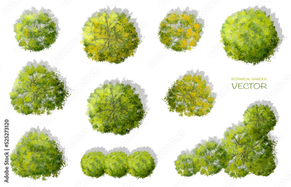 Vector watercolor of tree top view isolated on white background for landscape plan and ...