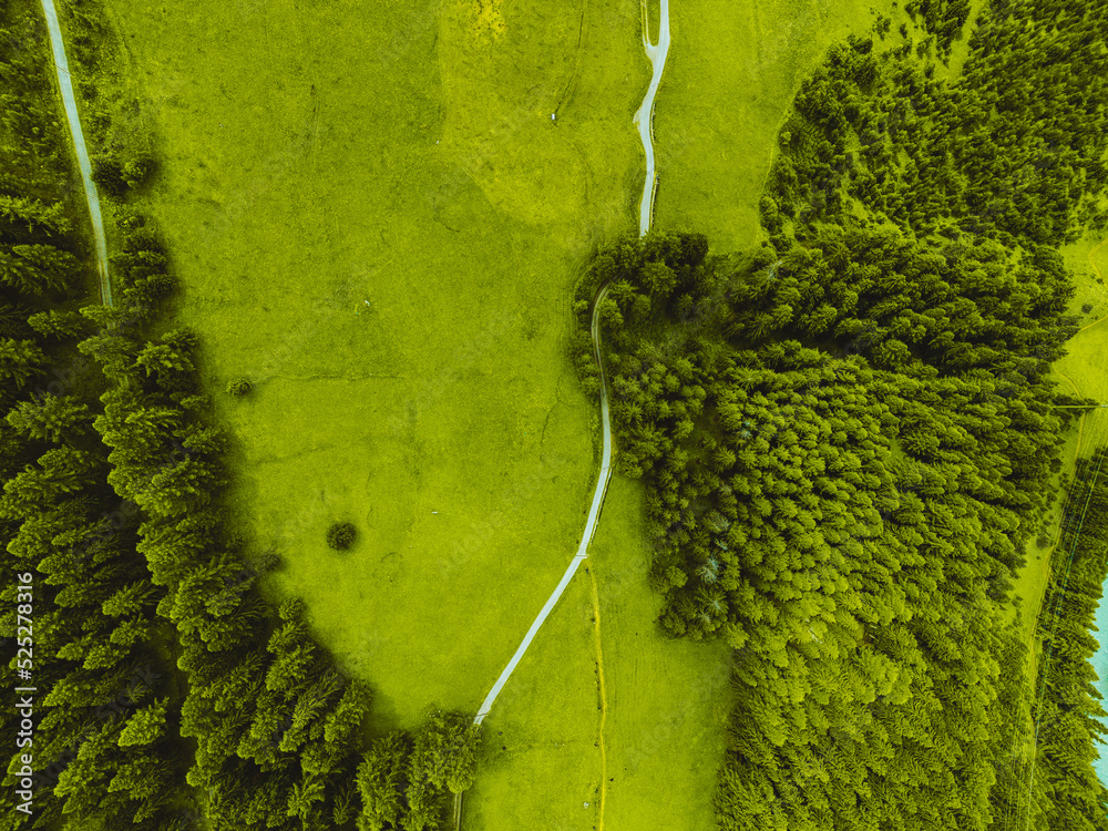 Top down view on mountain valley, pathway, forest and grass field ...