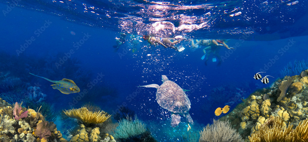 Colorful coral reef with many fishes and sea turtle. The people at ...