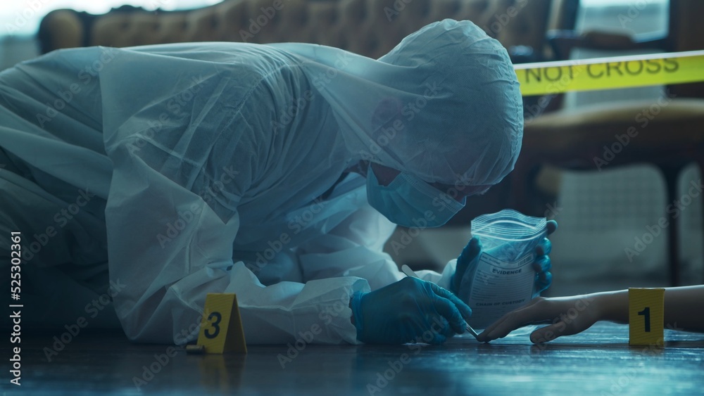 Detective Collecting Evidence in a Crime Scene. Forensic Specialists ...