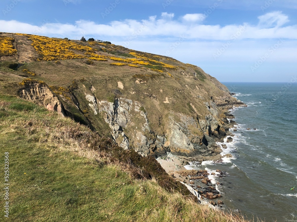 Breathtaking Howth cliff walk on top off cliffs with blooming yellow ...