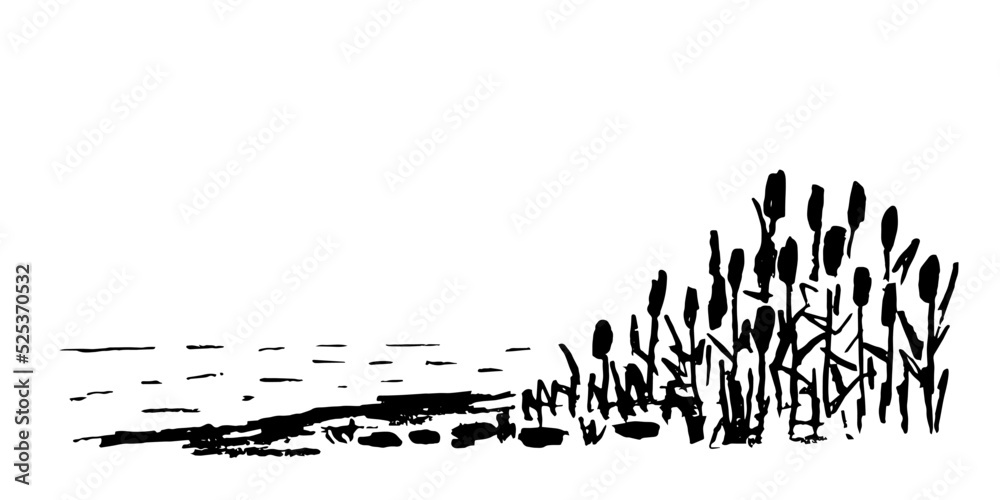 Simple vector drawing with charcoal pencil. Bank of the river, thickets ...