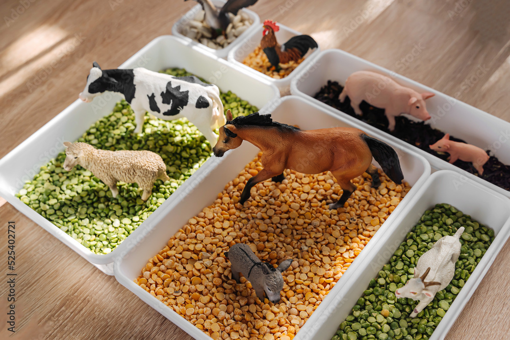 Farm animals in sensory bin. Educational game. Learning through play ...