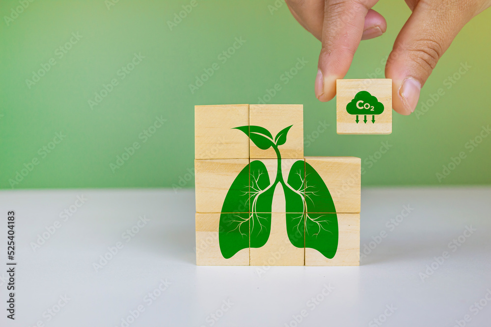lungs icon green. Concept of sustainable development, renewable energy ...