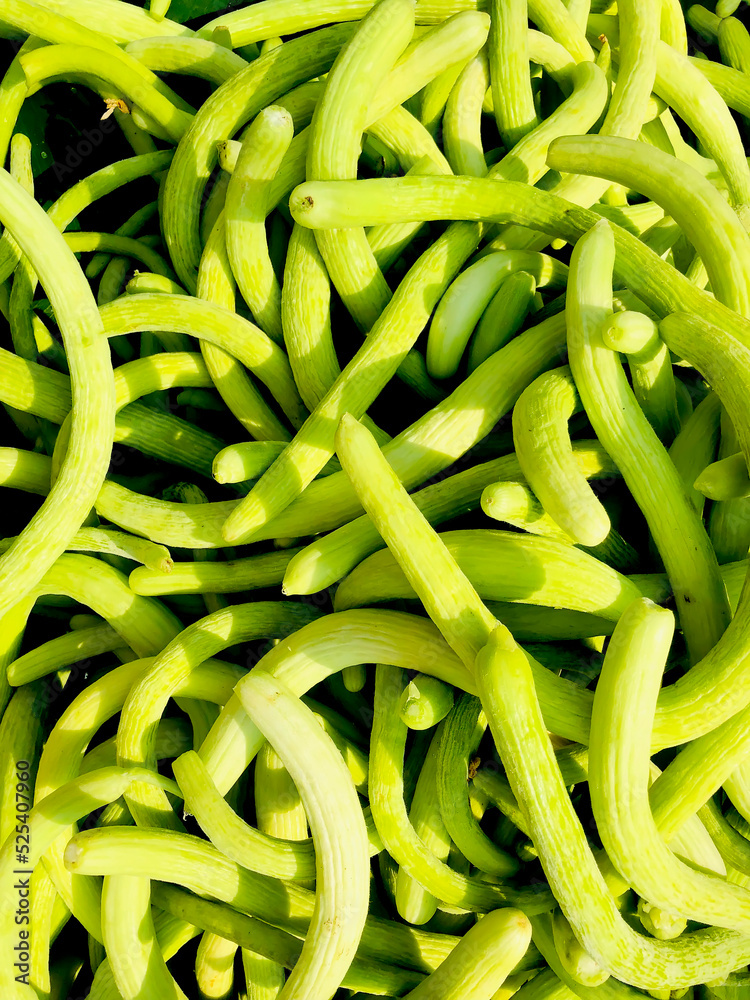 Yard-long snake cucumbers heap, very long thin curvy light green ...