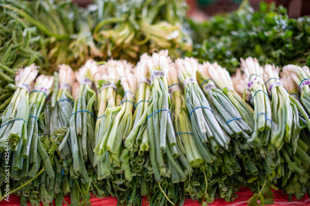 Rear view of high brown leather boots worn by a Royal Canadian Police ...