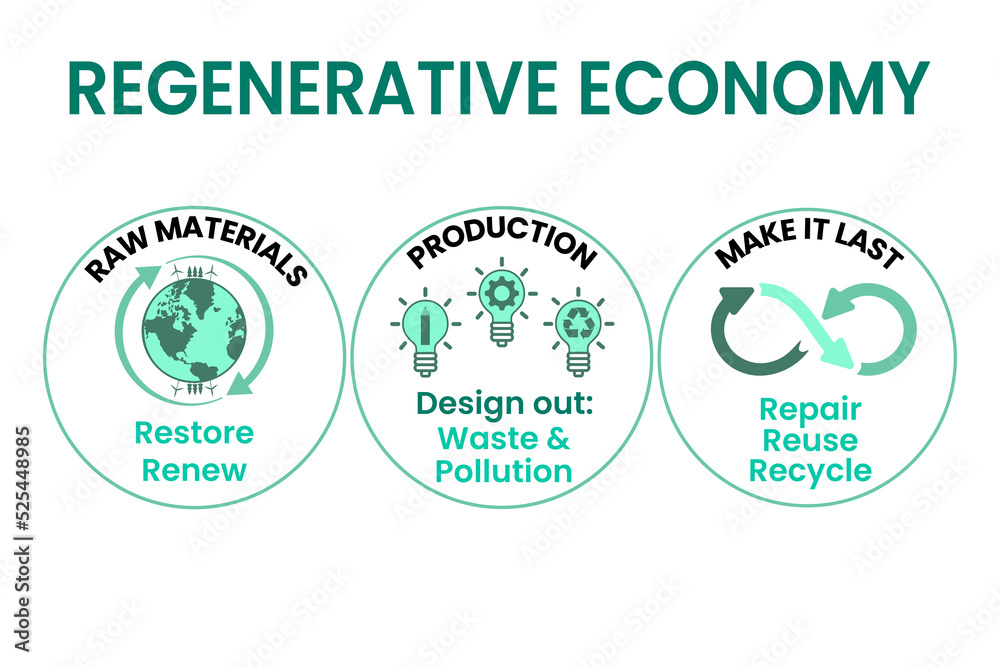 Regenerative Economy illustrated, regenerative sustainable economy ...