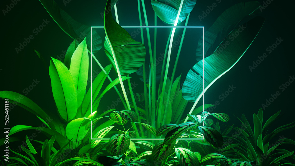 Blue and Green Neon Light with Tropical Leaves. Square shaped ...