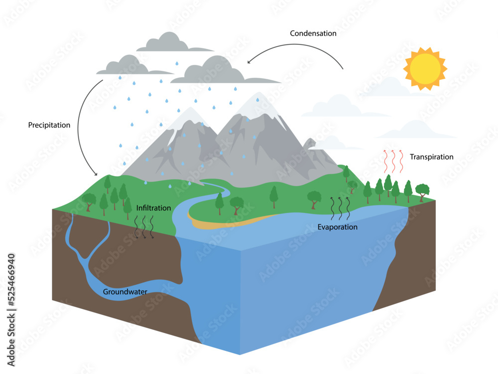 Diagram Of Water Cycle In Nature Illustration Stock Vector Adobe Stock diagram-of-water-cycle-in-nature-illustration-stock-vector-adobe-stock