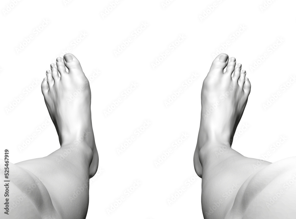 Polygonal models of human legs from black lines isolated on a white ...