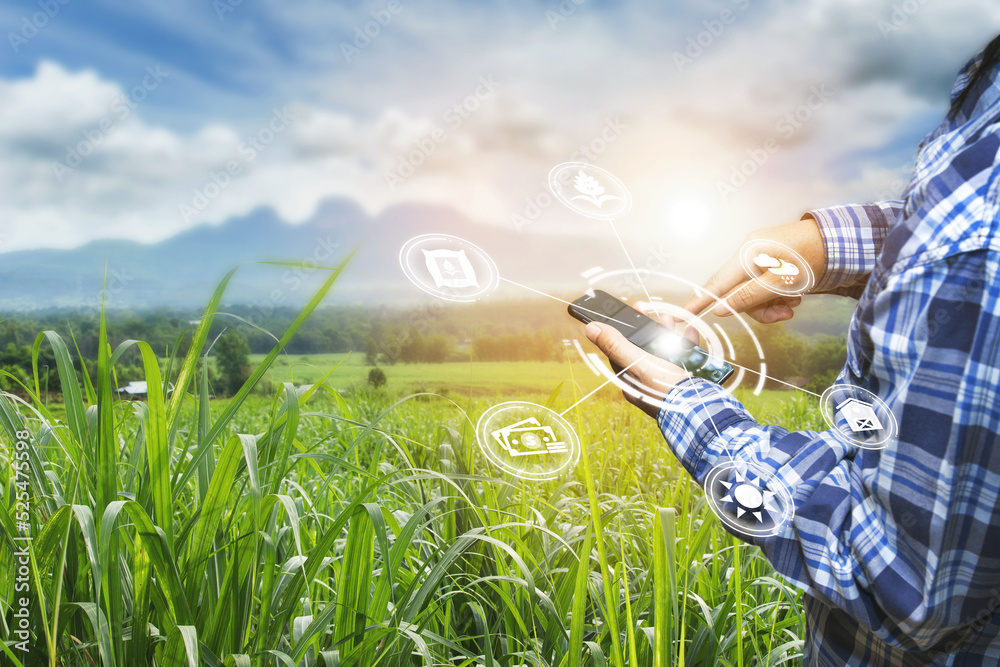 Innovation technology for smart farm system, Agriculture management ...