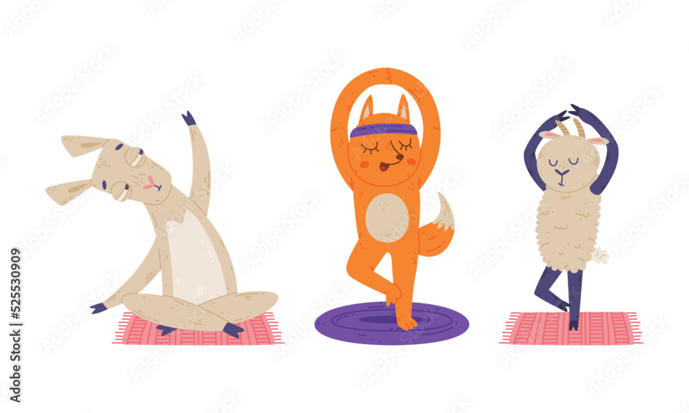 Cute animals doing yoga. Llama, fox and sheep performing various yoga ...
