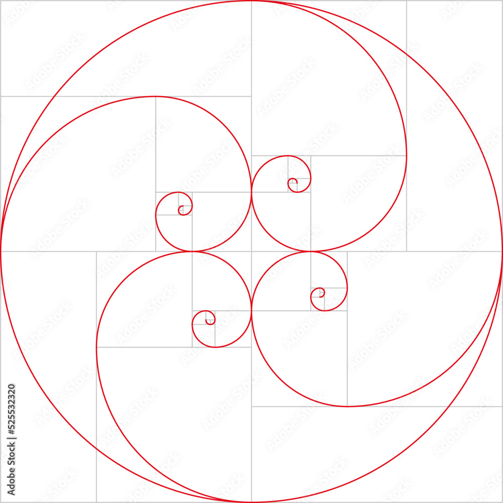 Fibonacci spirals. Golden ratio spirals. form a circle. Stock Vector ...