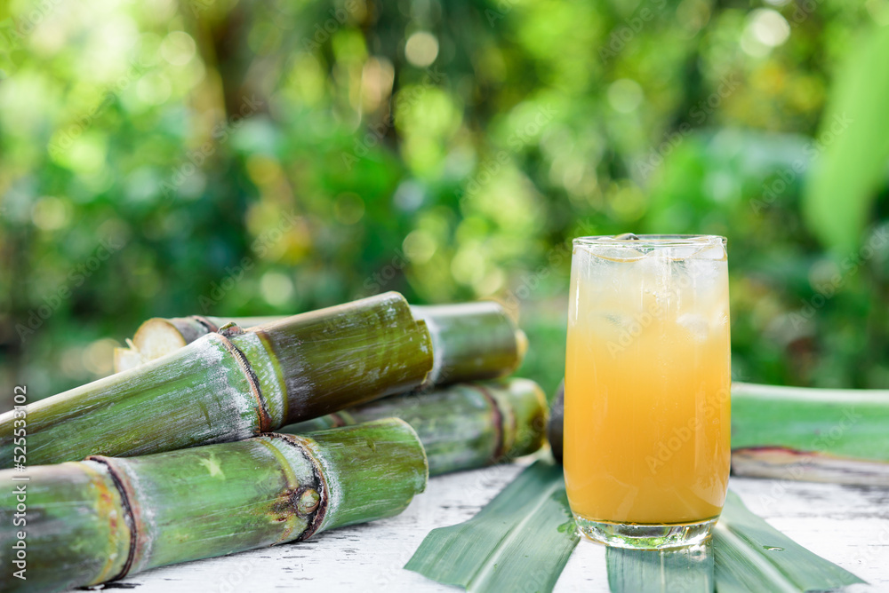 Sugar cane juice, Sugar cane drink with ice. Stock Photo | Adobe Stock