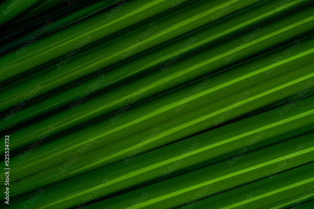 Abstract green stripes modern textured background Stock Photo | Adobe Stock