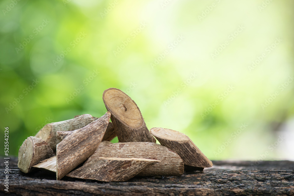 Anamirta cocculus woods on nature background. Stock Photo | Adobe Stock
