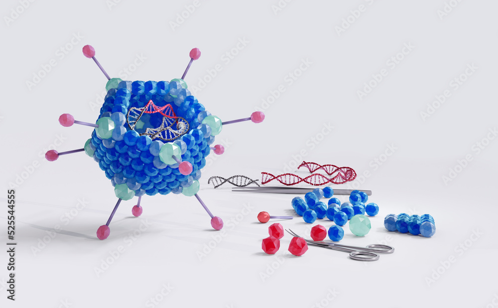 In genetic engineering a genetically modified virus can be used for ...
