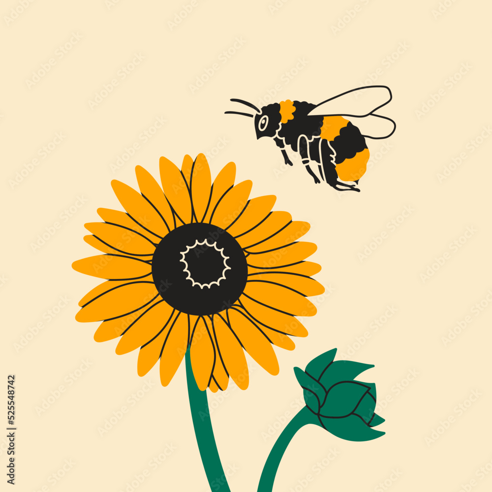 Puffy bumblebee or Bee flying towards yellow sunflower. Bee collects ...