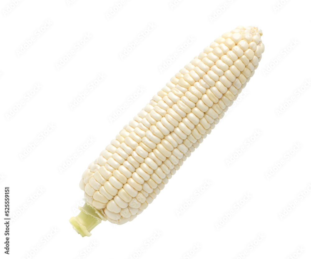Fresh white corn isolated on white background. Clipping path. Stock ...